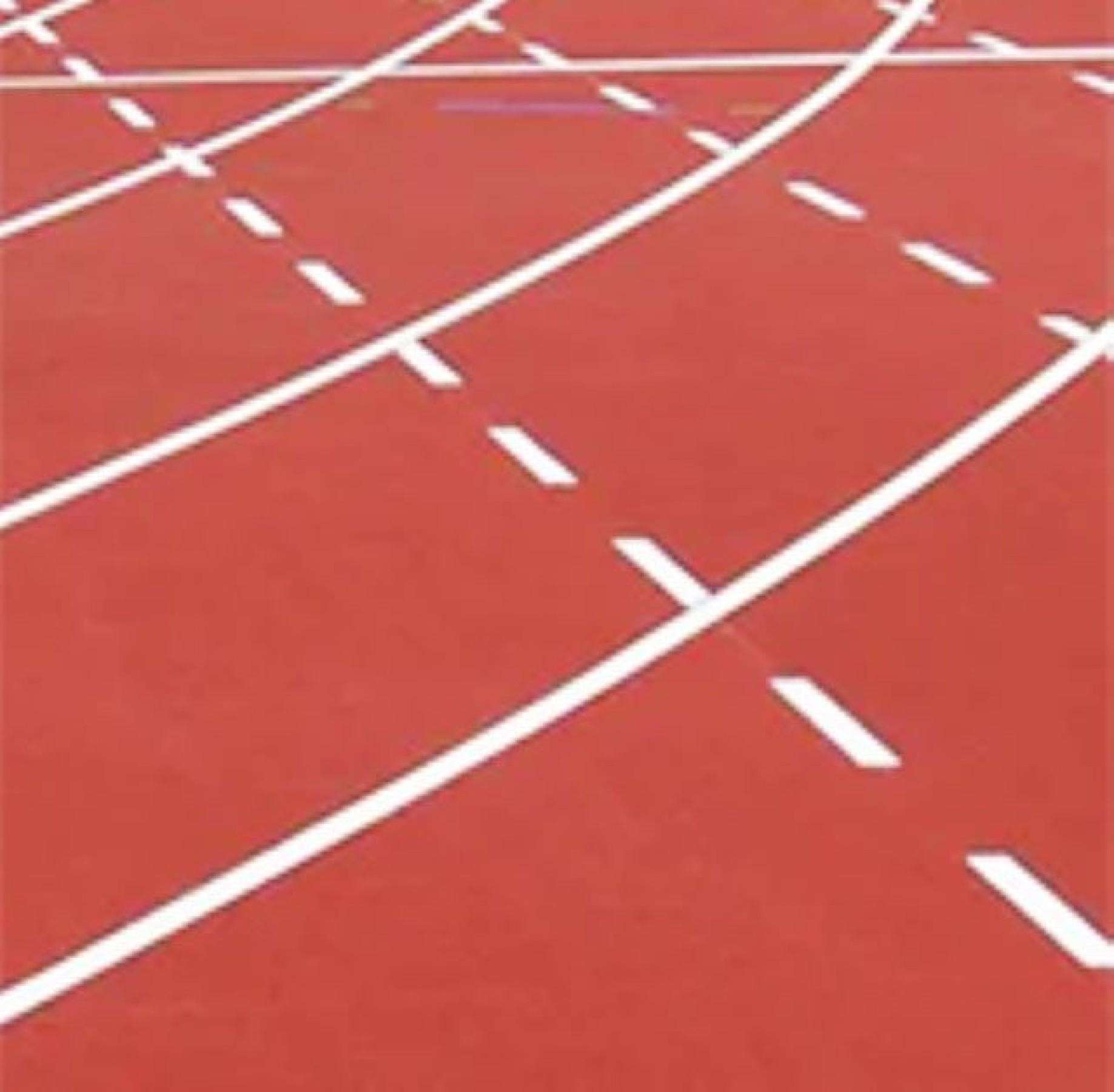 Sports Field Line Marking Business For Sale... for sale in Craigie ...