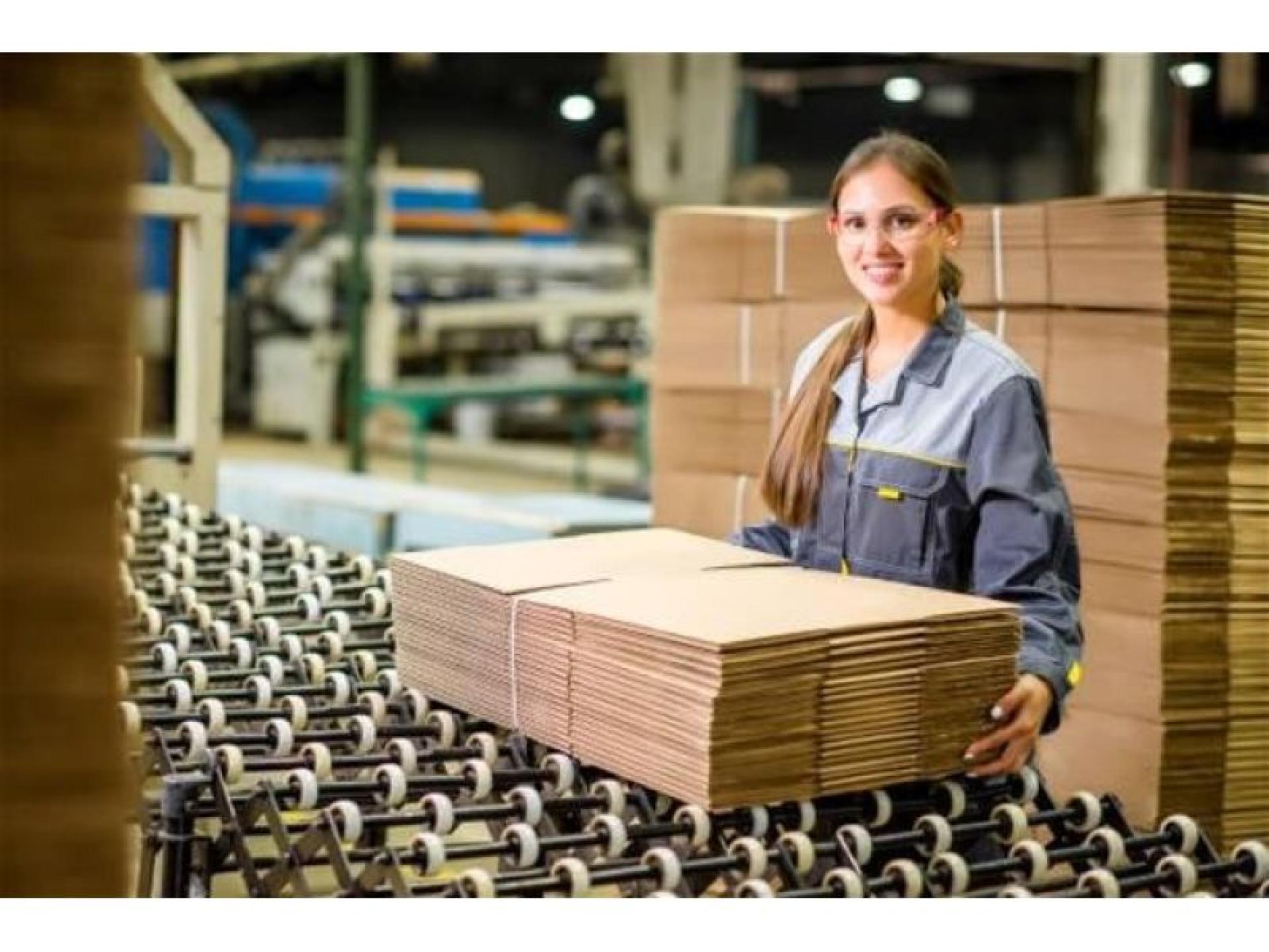 Carton Manufacturing Business (b2b), 70+ Years History for sale | Bsale ...